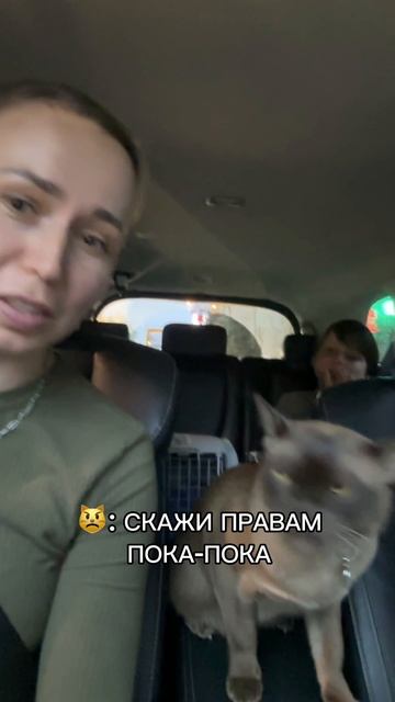 Инспектор Кус КРЕВЕТКИН