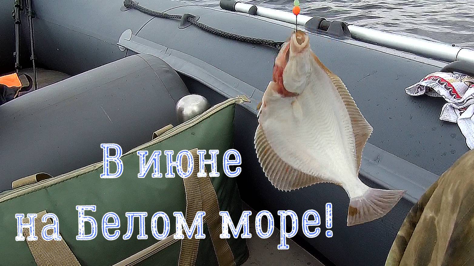 За камбалой на Белом море!
