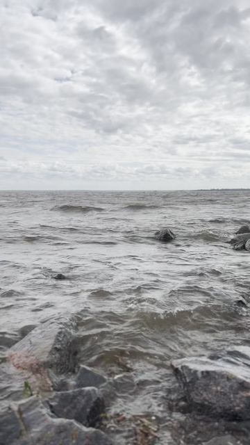 Шторм #ЕвгенийВихрицкий #Вихрицкий #коуч #шторм #спб #дамба #кронштадт #счастье #прогулка #питер #я