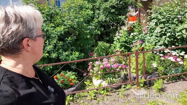 Райский уголок Пугачёва, 13 2024