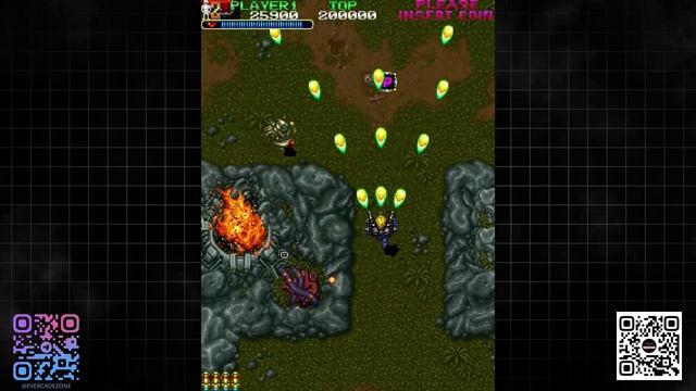 🎮 Evercade — Toaplan Arcade 3! [На русском]