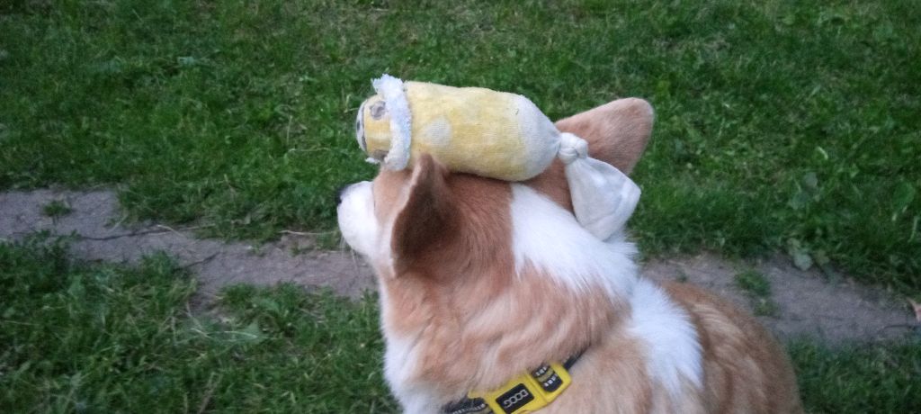 трансляция с очень важным гостем