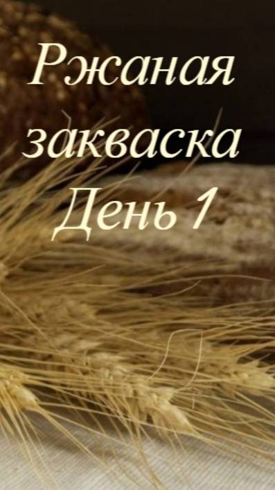 Рецепт ржаной закваски день 1. Видеообзор на канал Olga PekarKo, пробуем приготовить