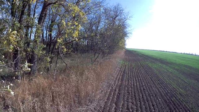 Охота на зайца 2024-2025