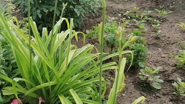 ВЛОГ/ДОЖДАЛИСЬ СЫНОЧКА/ПОДГОТОВКА