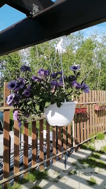 доброе утро☕❤️ самый лучший день - это сегодня