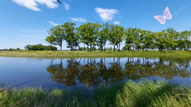 ЕАО. с.Даниловка. Рыбалка на карася.