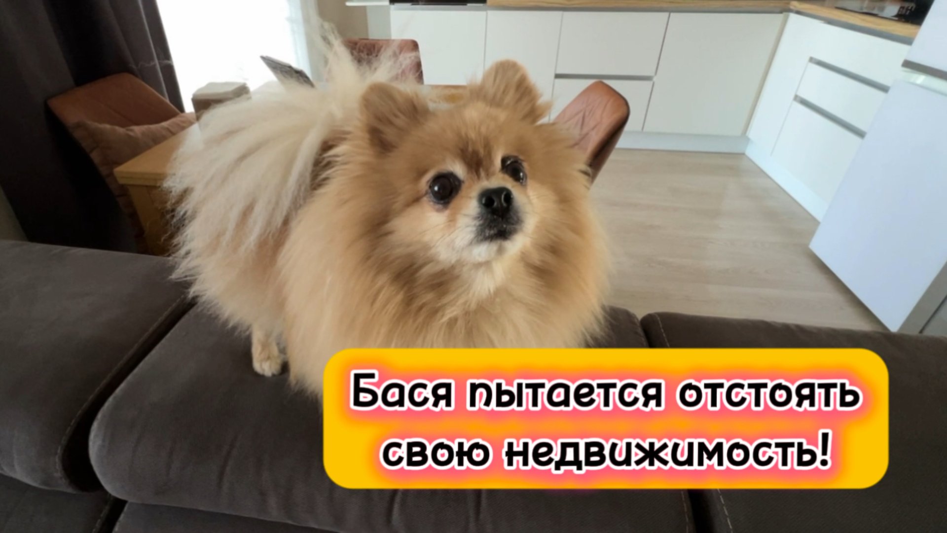 Бася пытается отстоять свою недвижимость!