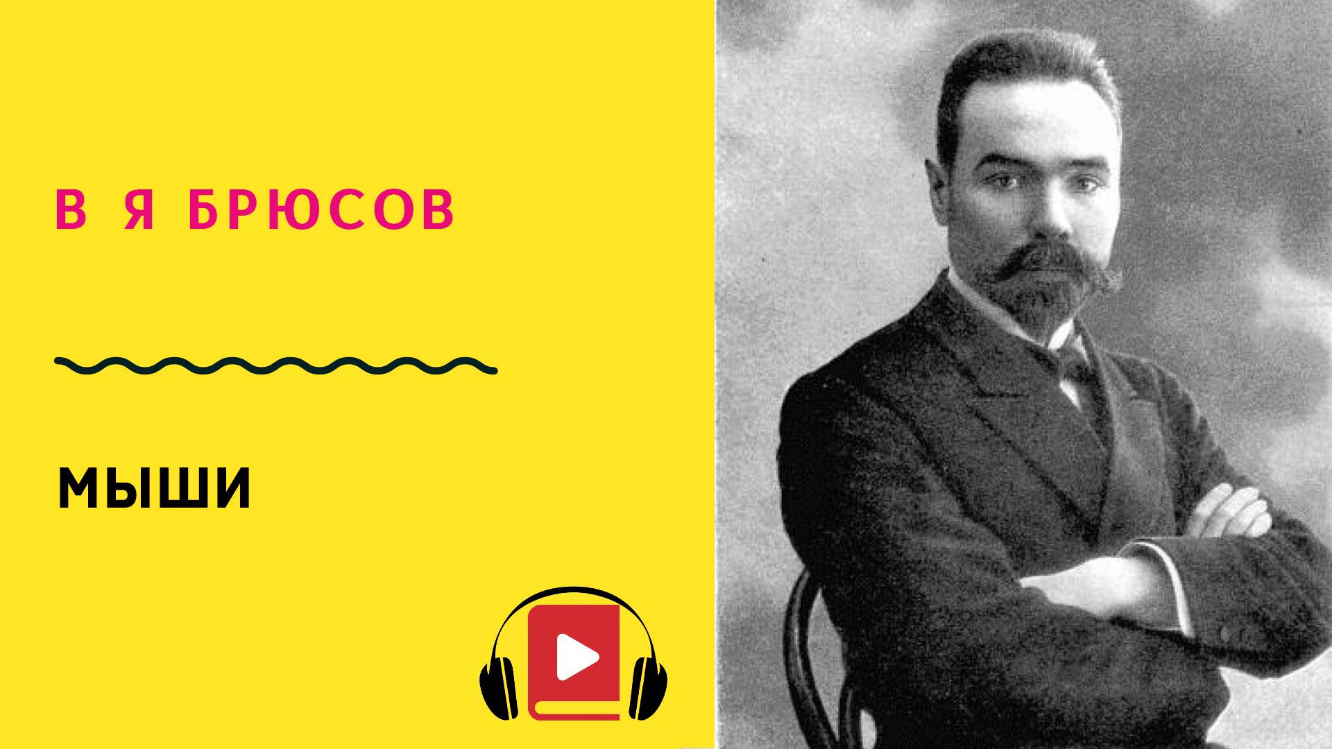 В Я Брюсов Мыши  Учить стих