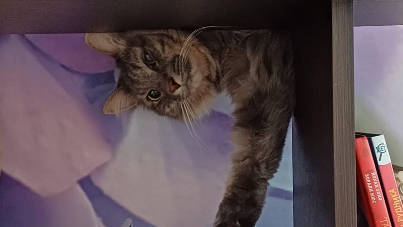 Бубенчик| Пуп Ритп | RYTP| серия 2| Сраная комната