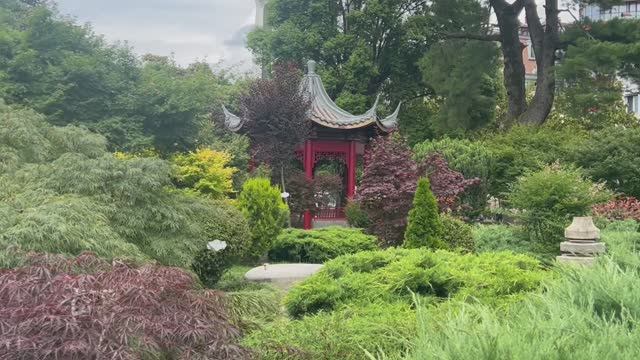 Три площади Батуми. Дама на велосипеде и Японский сад.