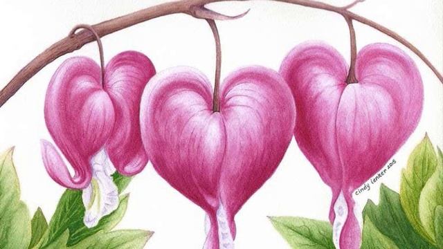 Истинная любовь - стихотворение