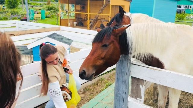 Контактный зоопарк Ути-Пути в Зелёной Слободе!