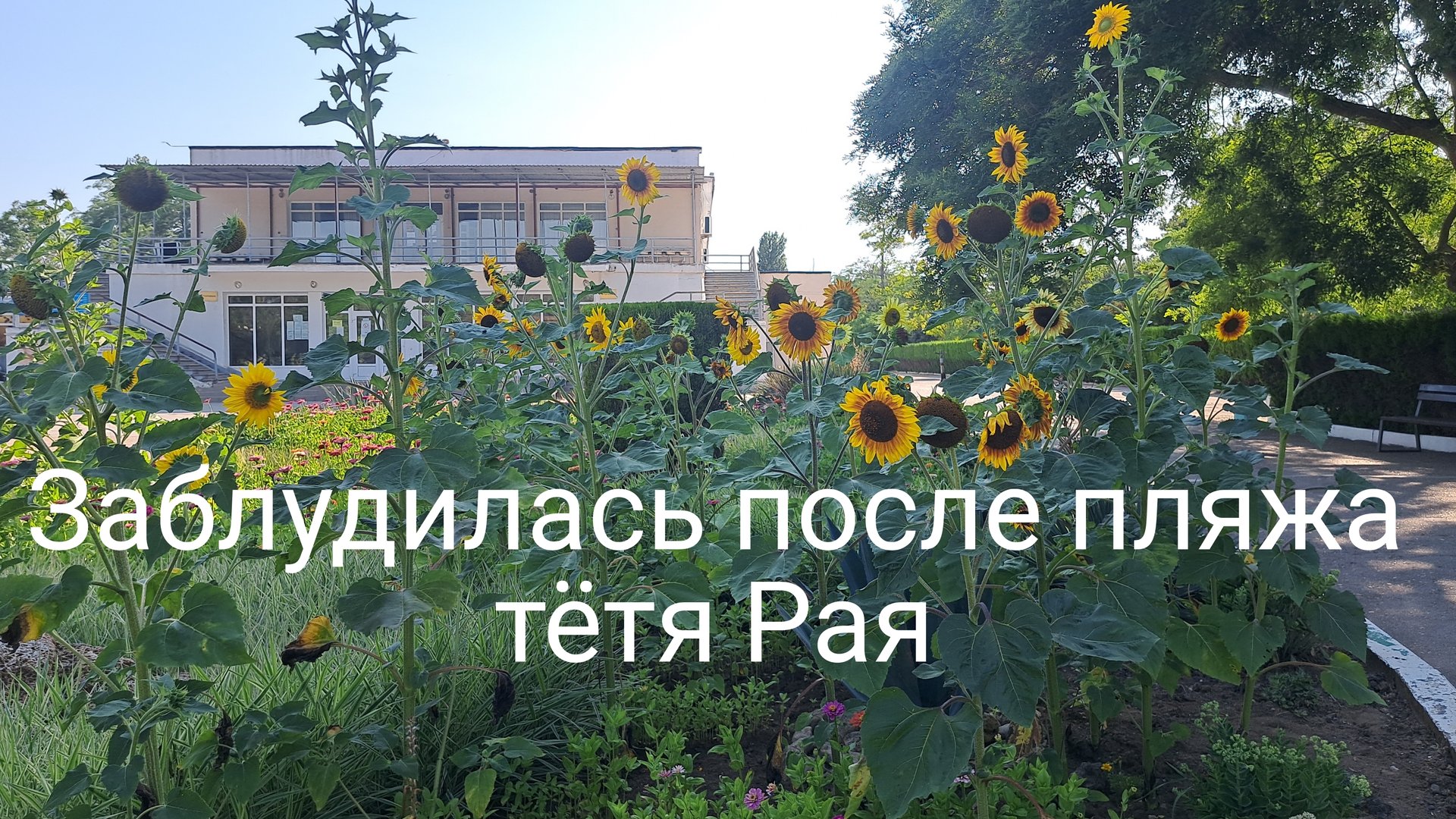 После пляжа заблудилась тётя Рая/Крым мне нравится