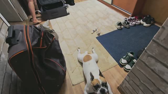 Долгожданная встреча с Мамой, Настей и Верой. 1 день в Москве