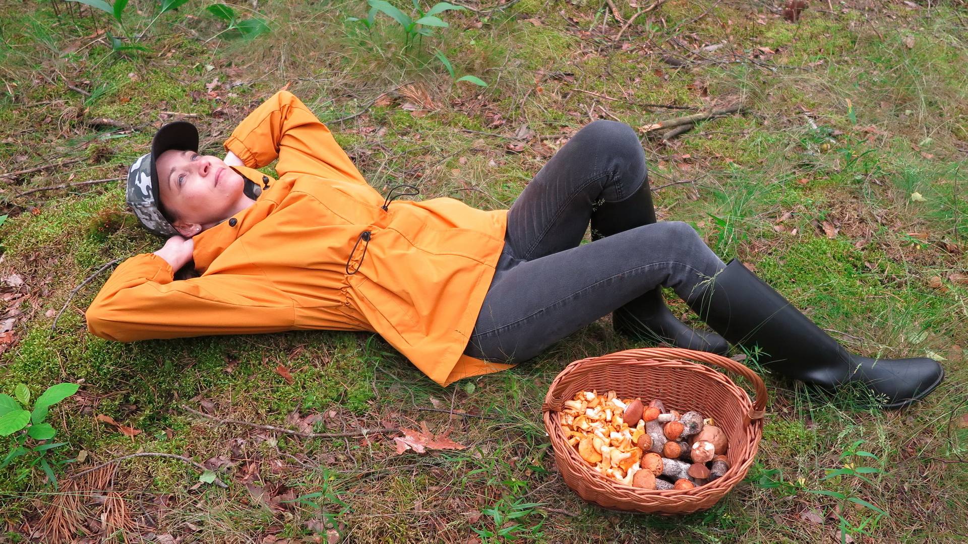 ЛЕС ОБШАРИЛА, ГРИБОВ НАШАРИЛА – Грибы в Подмосковье и наше грибное место с Подосиновиками