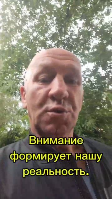 Внимание формирует нашу реальность  Сила внимания