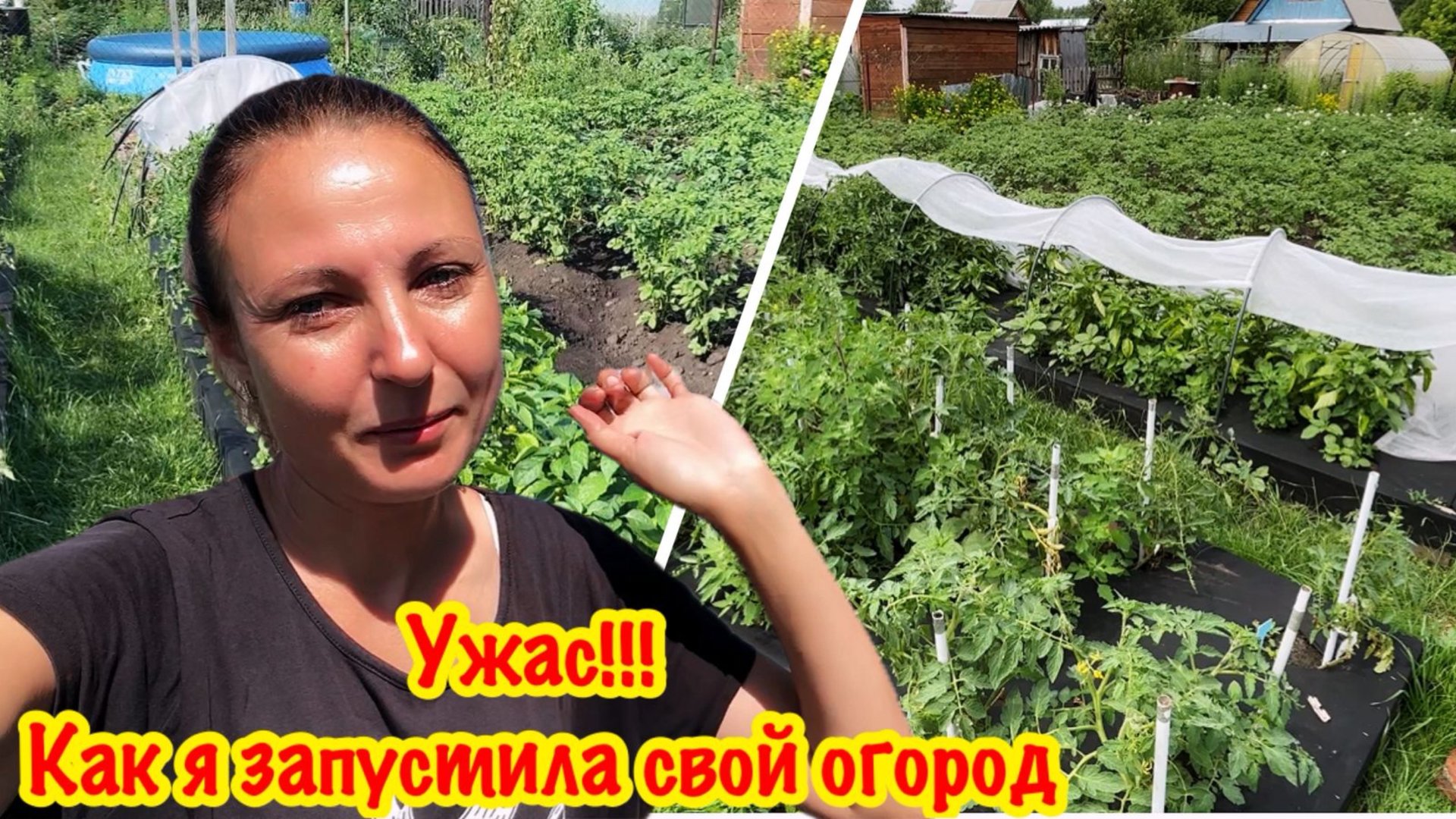 ОДНА НА ДАЧЕ-КАК Я ЗАПУСТИЛА СВОЙ ОГОРОД/ЭТО КОГДА НАДО СДЕЛАТЬ ВСЕ, А НЕ УСПЕВАЕШЬ НИЧЕГО/