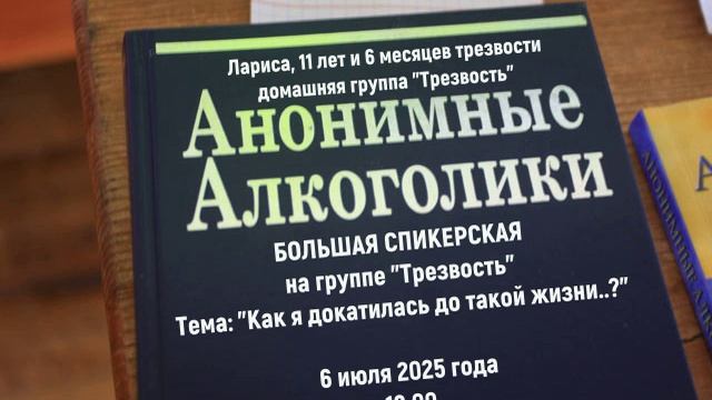 Как я докатилась до такой жизни..? Лариса 11,5 лет трезвости. Спикерская на группе "Трезвость"