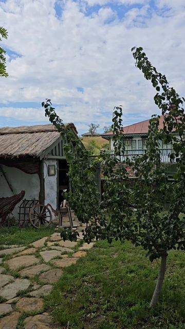 хутор Старозолотовский музей Тихий Дон