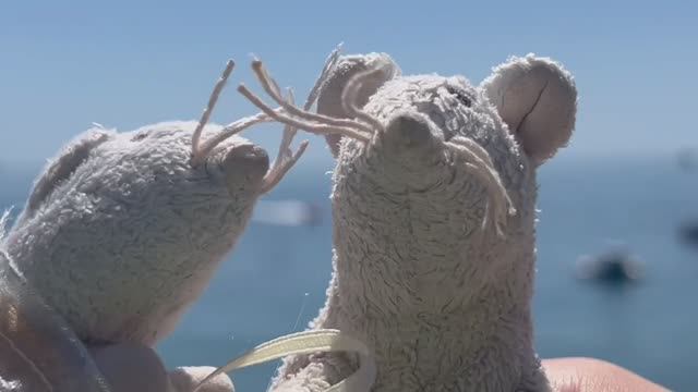 Ух ты! Машина едет по морю!