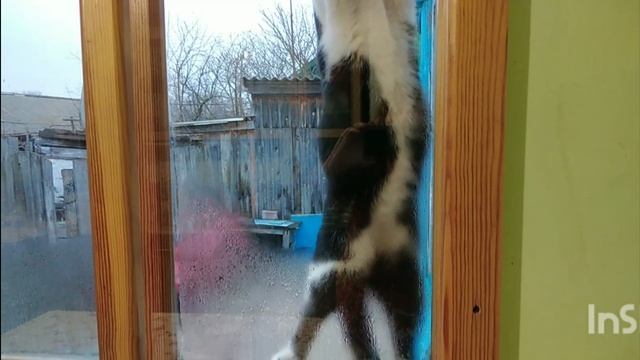 Не пустили в двери - войдем через форточку