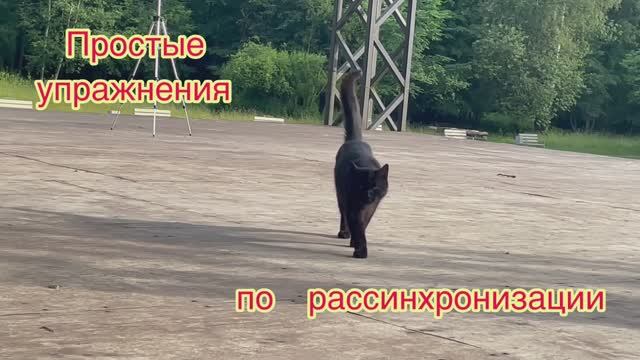 Простые упражнения на рассинхронизацию Урок 48