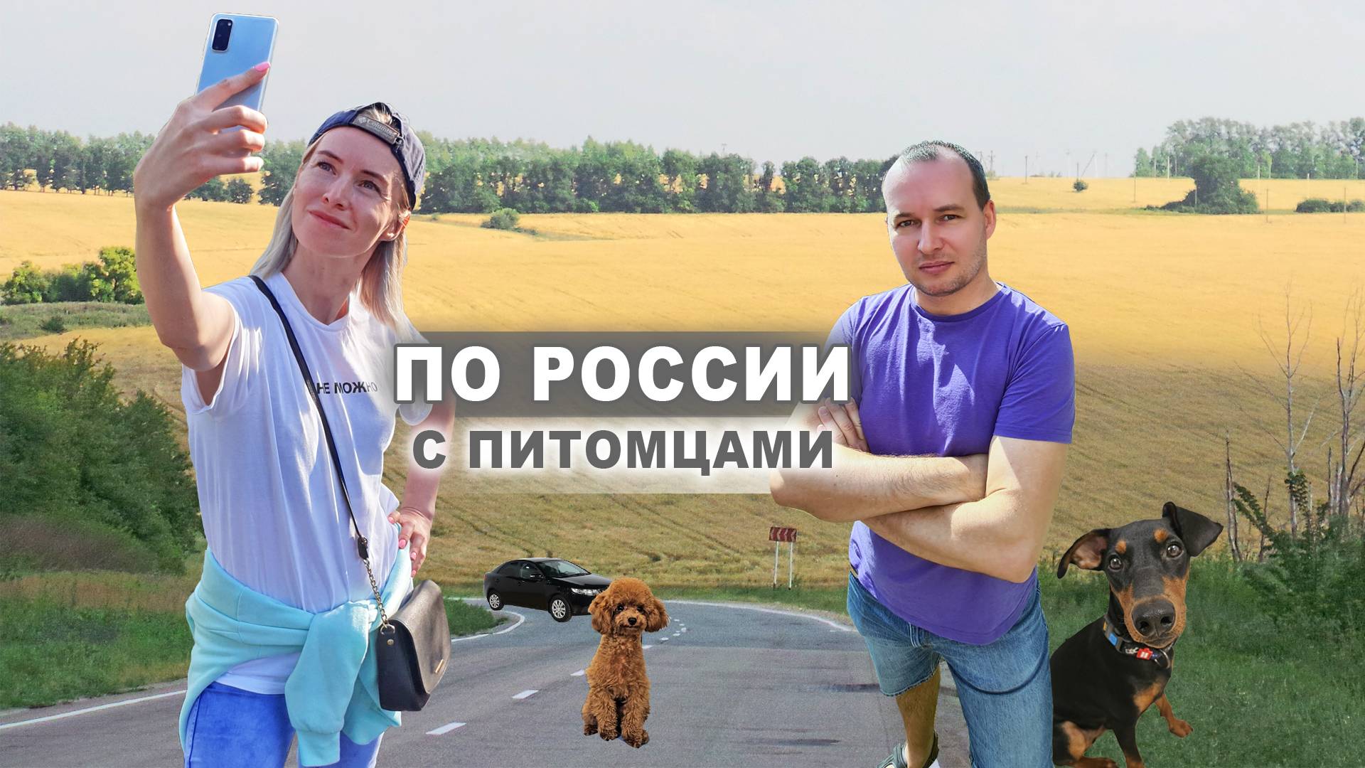 Автопутешествие с двумя собаками