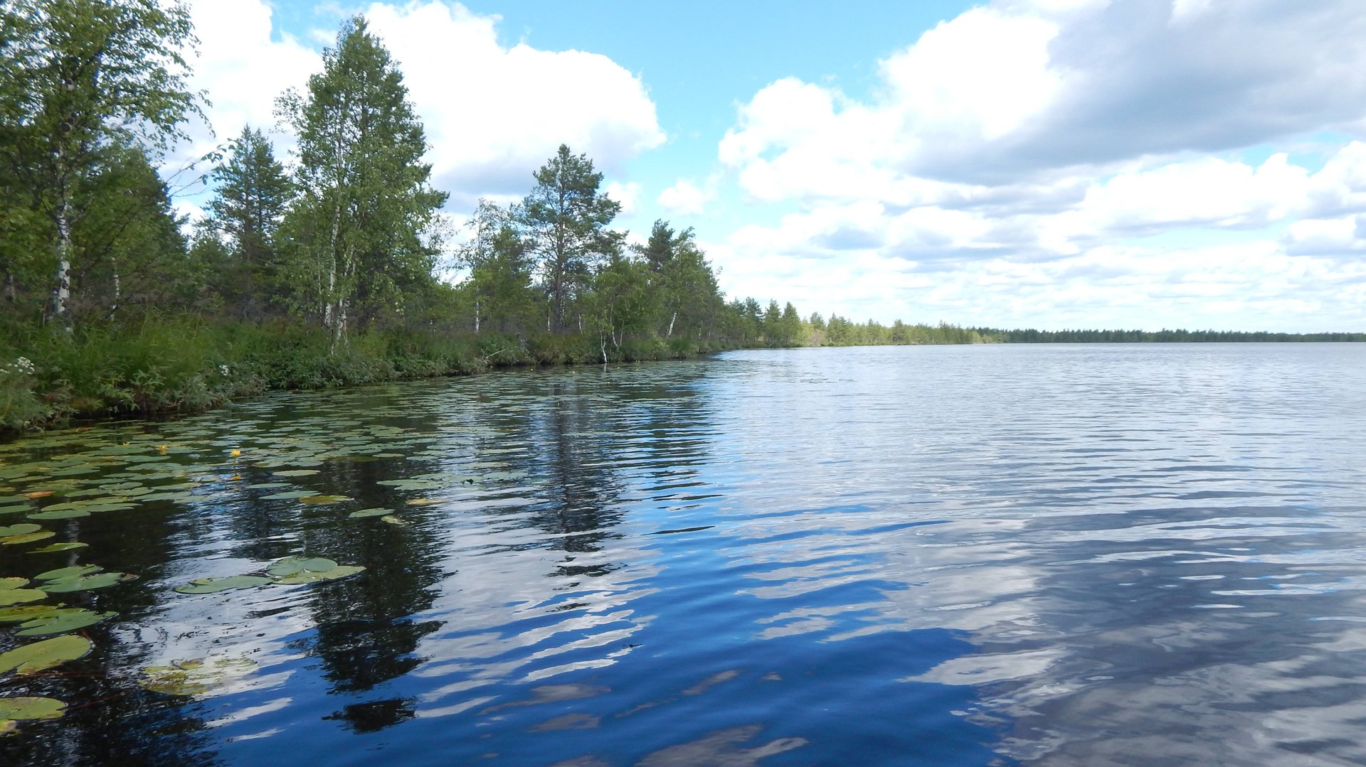 Рыбалка без улова