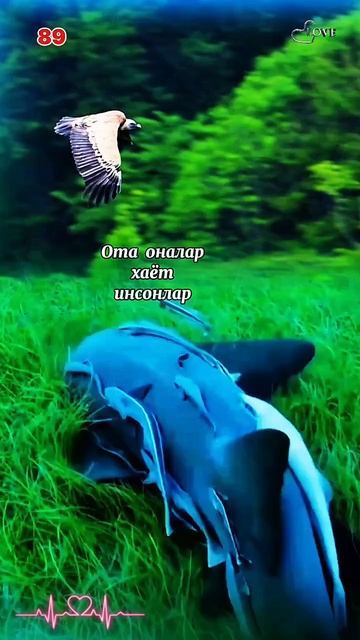 Энг бой инсон ота онаси бор инсонлар