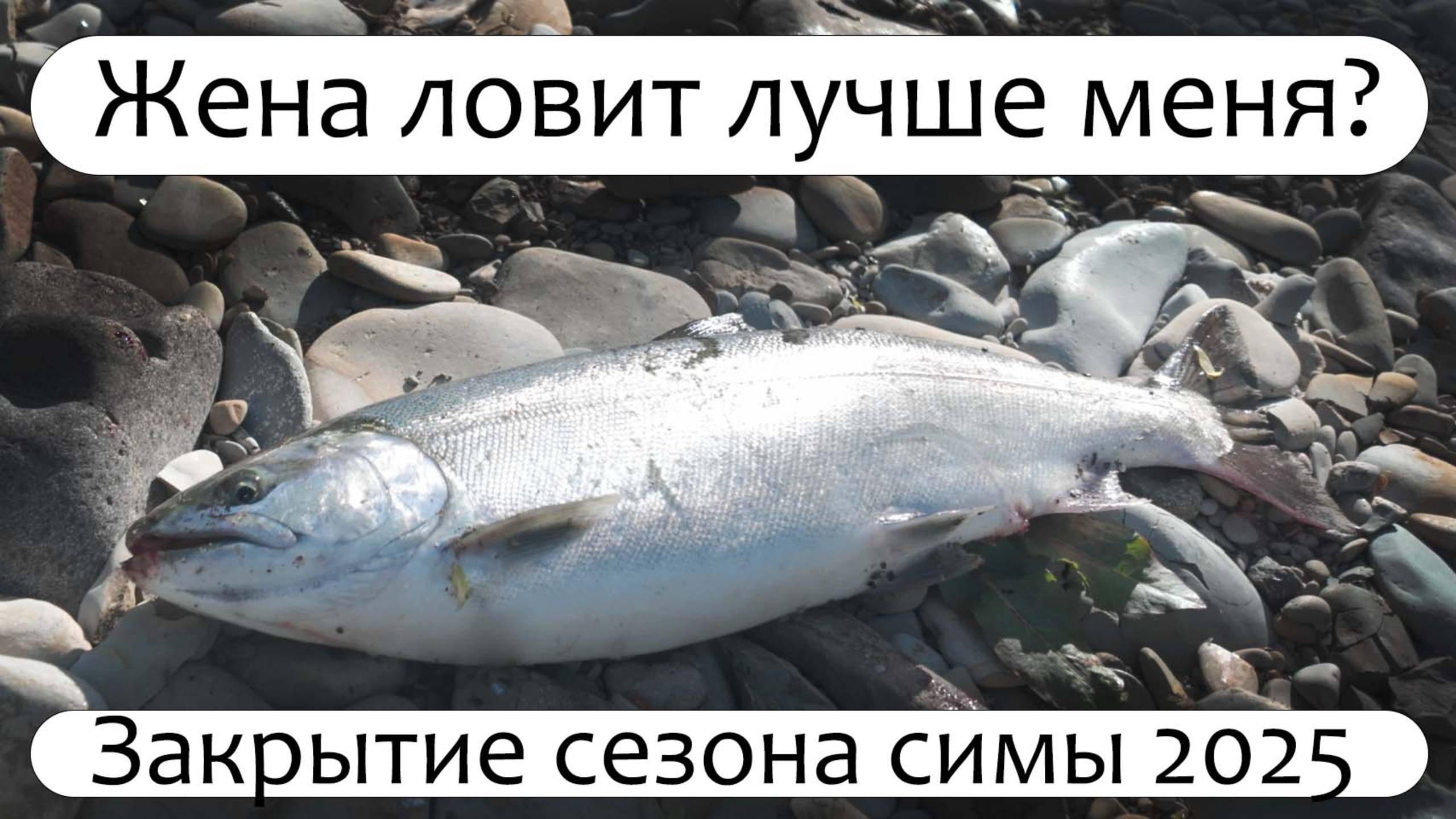 Жена рыбачит лучше меня? Закрытие сезона 2025 по симе. #сахалин #рыбалка #сима #fishing#путешествия