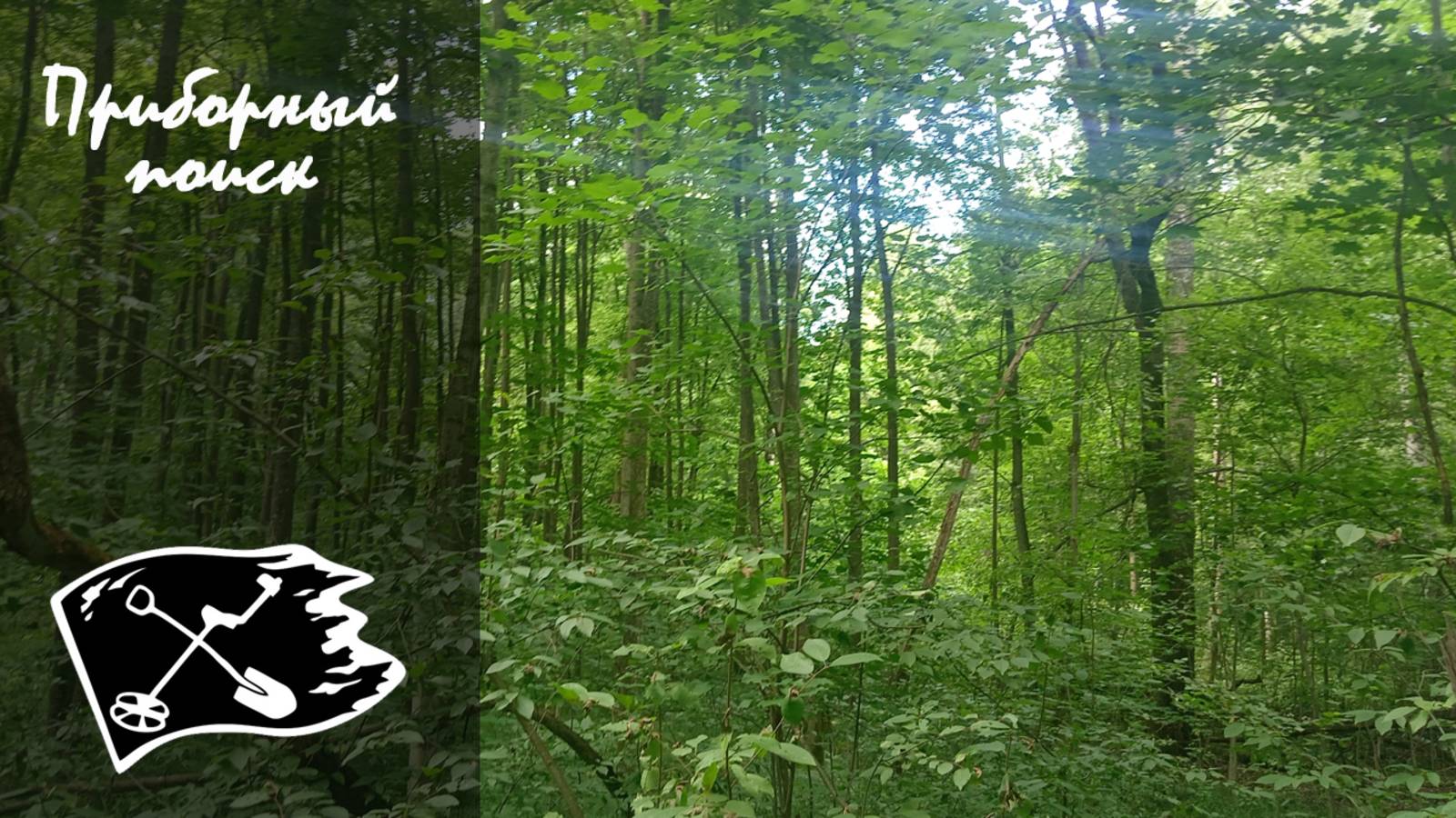 И снова Ойкумена. Сезон 2025