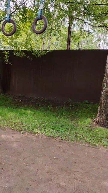Бригленд LIFE