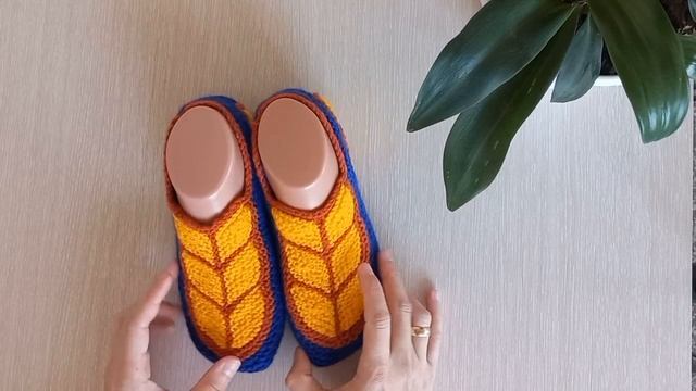 Носочки с Таней , февраль 2024