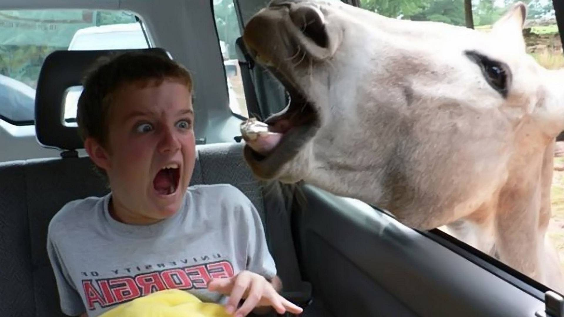 ✔️ СУПЕР НАРЕЗКА ПРИКОЛОВ И НЕУДАЧ 2025 СМОТРЕТЬ ВСЕМ ЧАСТЬ 96