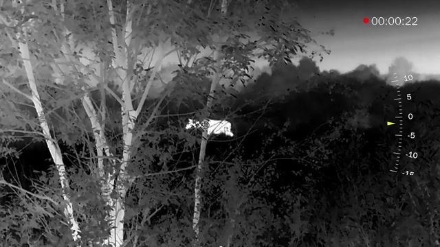 Тепловизор ELECTRON 1.4×25 мм: как работает в глубоких сумерках