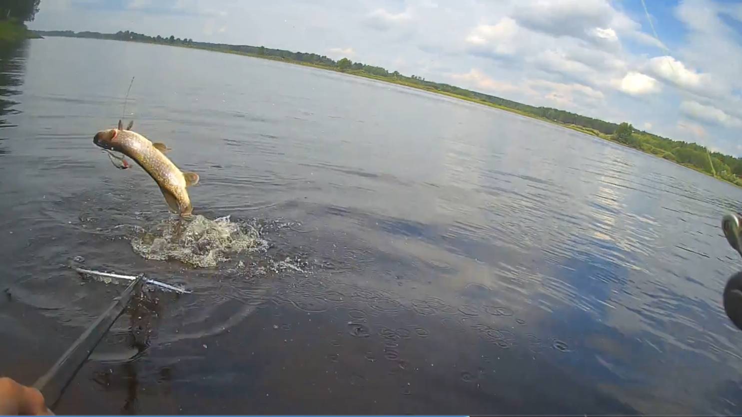 Щучий клондайк. Поклевки и свечки. Щуки встали в очередь.