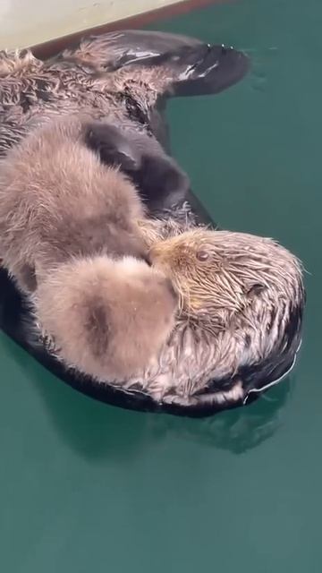 Мама и малыш😍