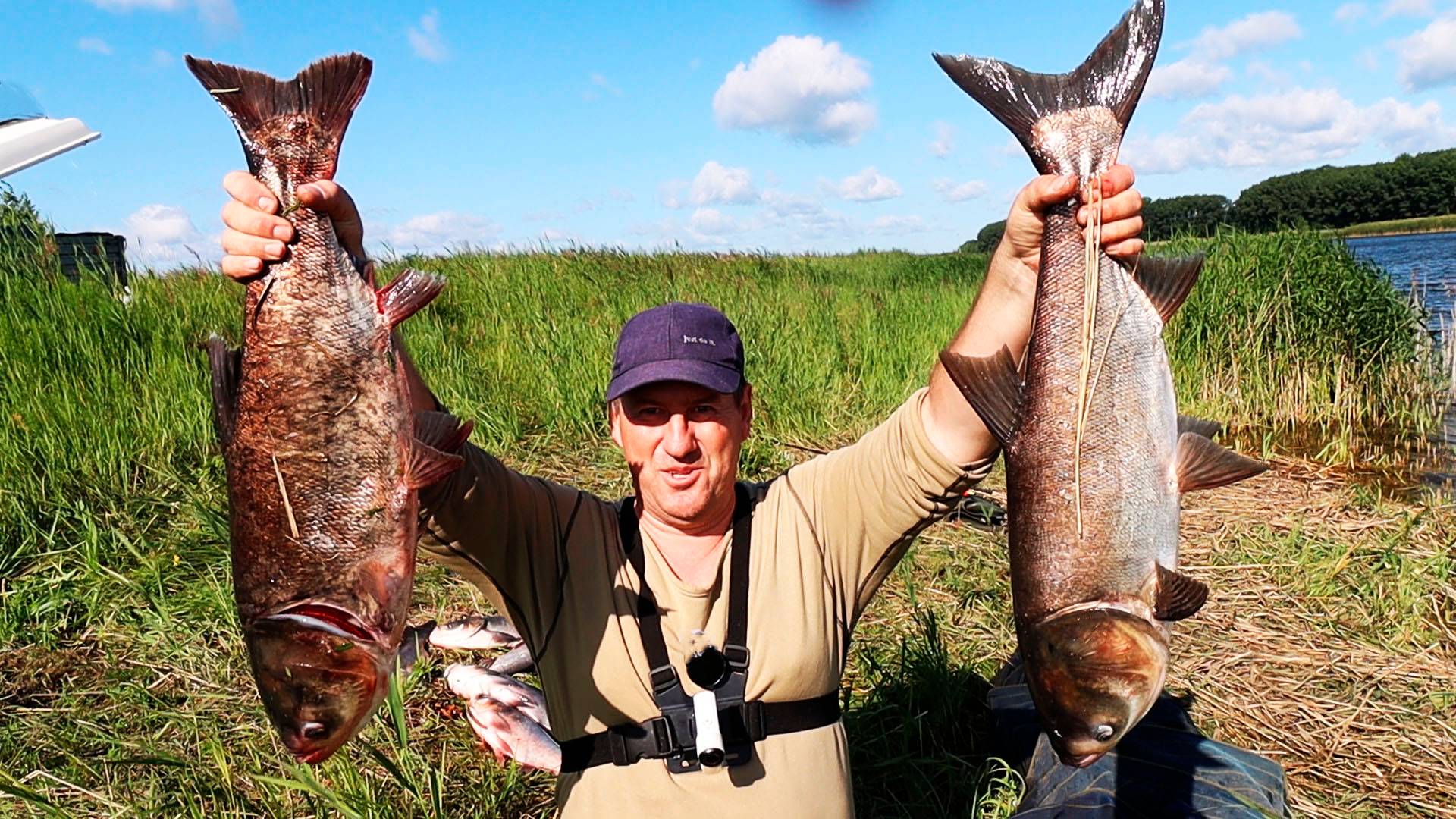Толстолоб клевал всю ночь,а в дождь еще лучше! Проехал 2 пруда в поисках толстолобика.