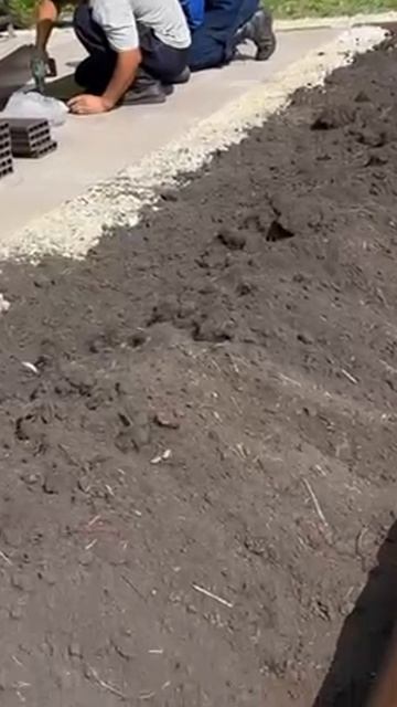 Бревно на цветник - просто и сердито