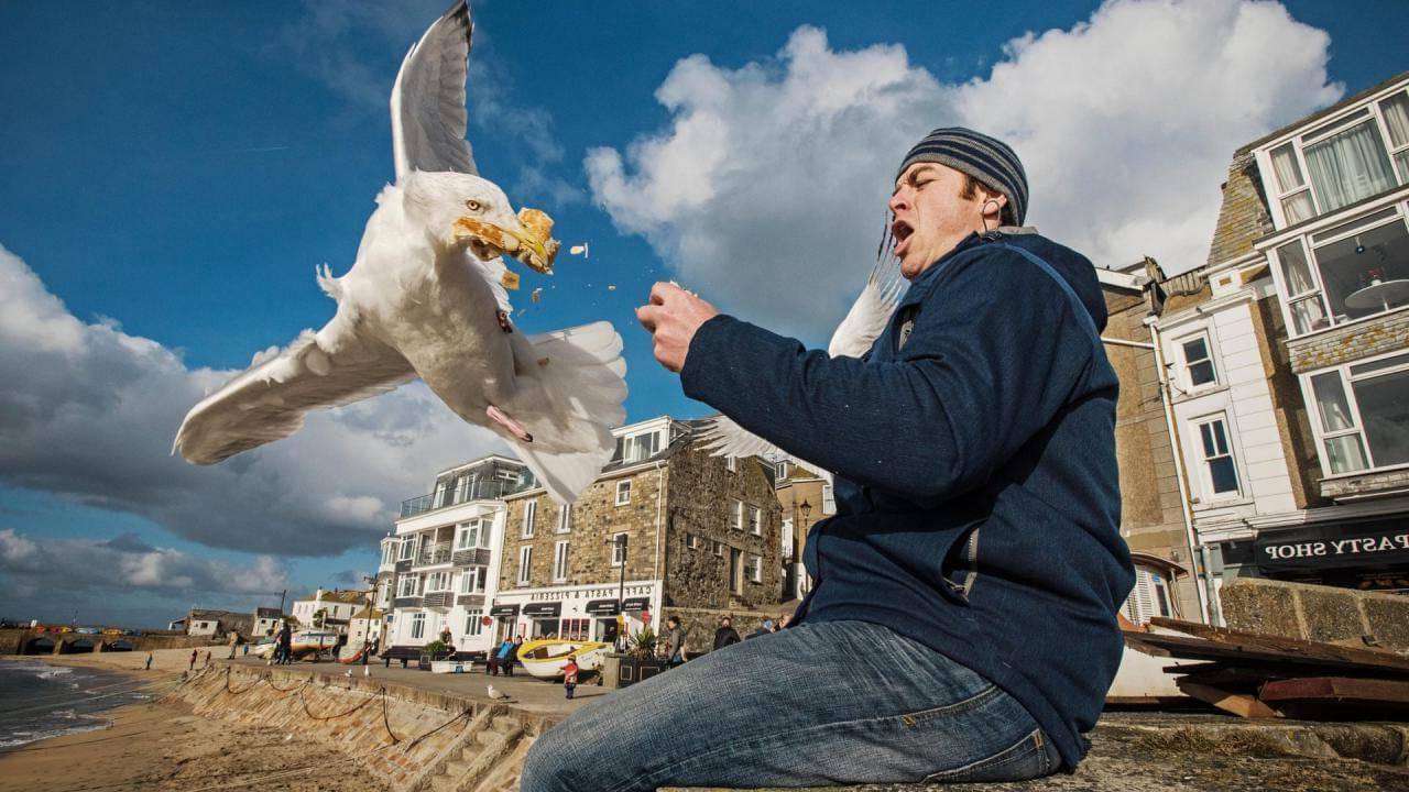 ✔️ СУПЕР НАРЕЗКА ПРИКОЛОВ И НЕУДАЧ 2025 СМОТРЕТЬ ВСЕМ ЧАСТЬ 99