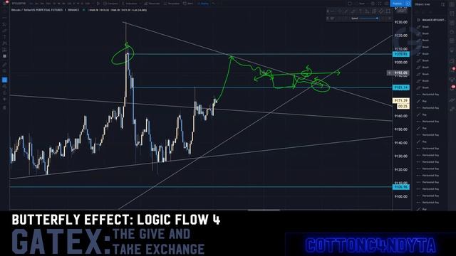 Butterfly Effect Lesson 46 - Logic Flow 4