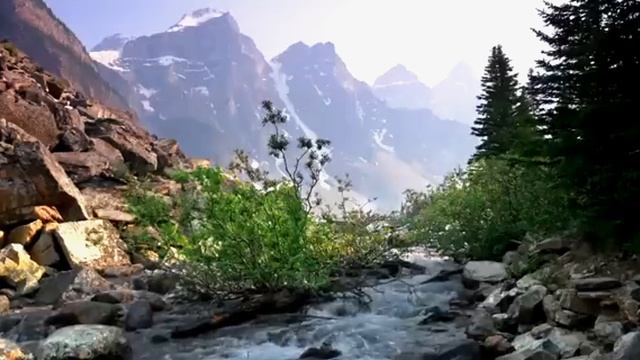 🐦 Звуки природы 🏞 Горная река 🎶 Музыка для медитации 🧘♀️