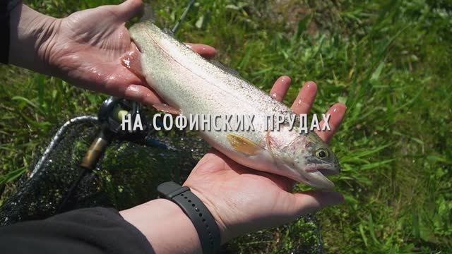 На Софинских прудах