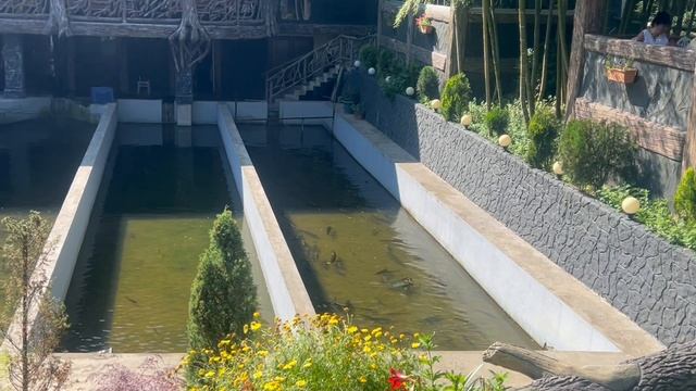 Кобулети. Ресторан с форелевым хозяйством.