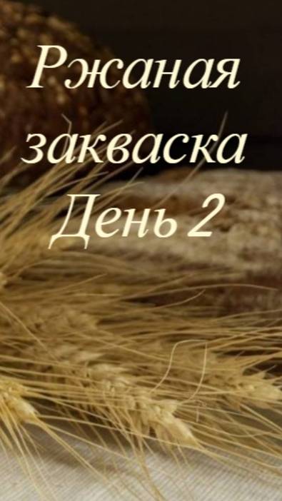 Рецепт ржаной закваски день 2. Видеообзор на канал Olga PekarKo, пробуем приготовить