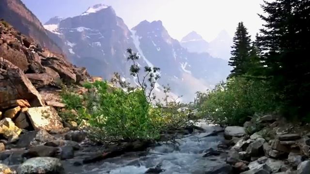 🐦 Звуки природы 🏞 Горная река 🎶 Музыка для медитации 🧘♀️