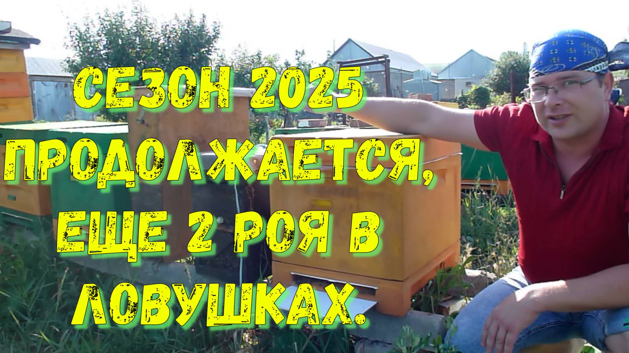 Узковысокая ловушка 2-й рой за сезон 2025