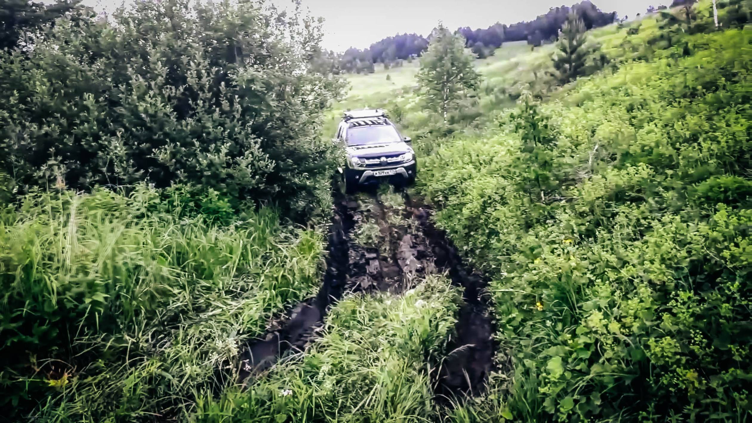 ДАСТЕР ПРОЕХАЛ ТАМ, ГДЕ ДРУГИЕ НЕ СМОГЛИ