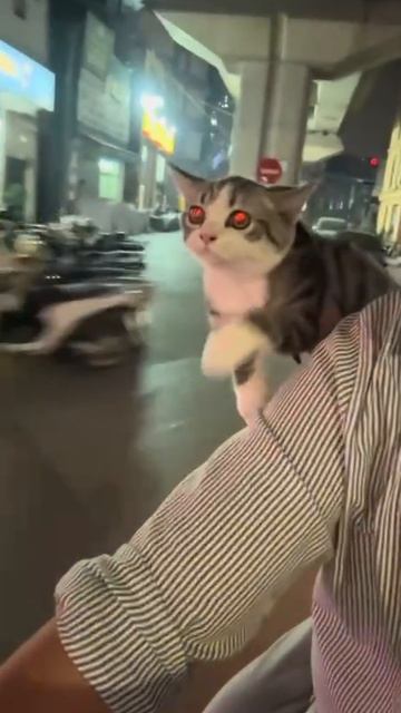 Быстрее ветра